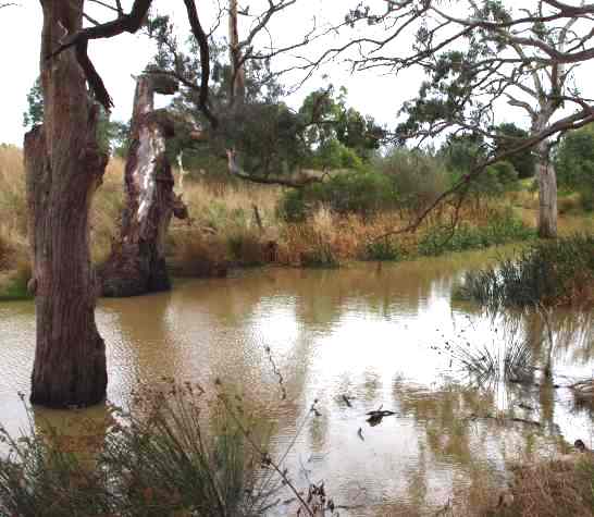 Dire urban impact on Merri Creek - Merri Creek Management Committee