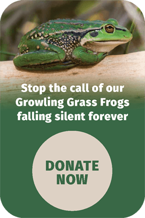 Welcome to the Merri Creek Management Committee website - Merri Creek ...