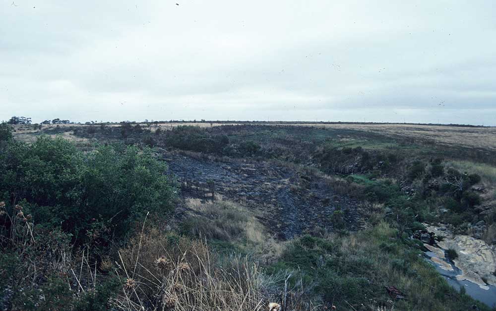 Galada Tamboore - 1990 and 2015 - Merri Creek Management Committee