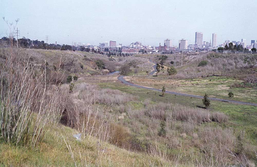 Hall Reserve Clifton Hill - 1982 and 2015 - Merri Creek Management ...