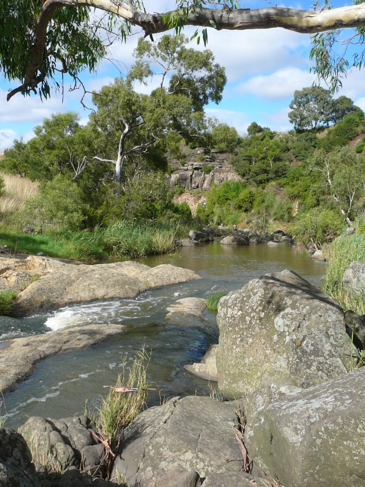 Visiting the marram baba Merri Creek Parklands - Merri Creek Management ...